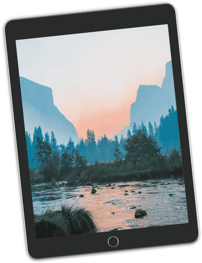 Addy | Local ads made easy